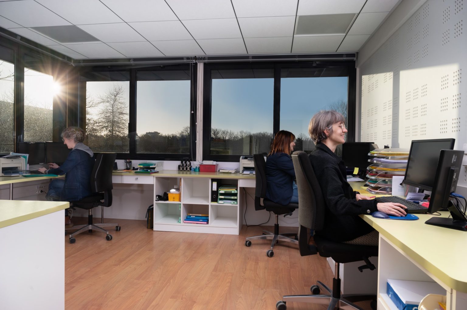 Sodibox - Fabricante de kits de recogida y transporte de muestras